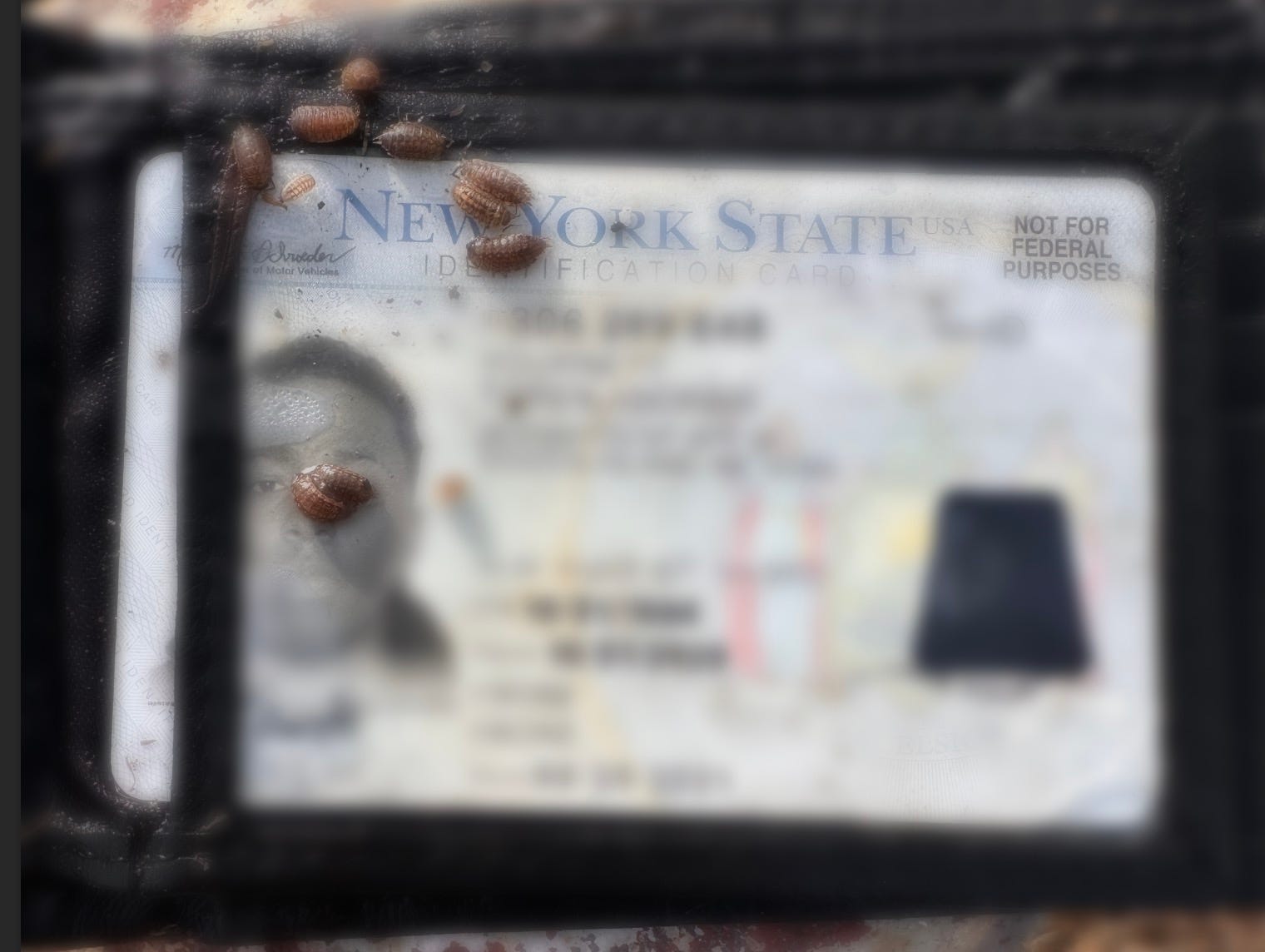 Oakwood - Staten Island - by Rob Stephenson