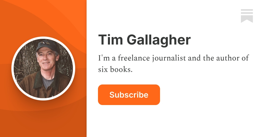 Tim Gallagher | Gallagher's Travels | Substack