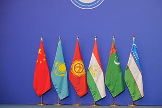 The China Briefing 中国简报 | SHEN Shiwei | Substack