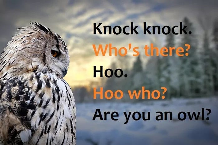 129+ Funny Animal Knock Knock Jokes That Will Make You Smile