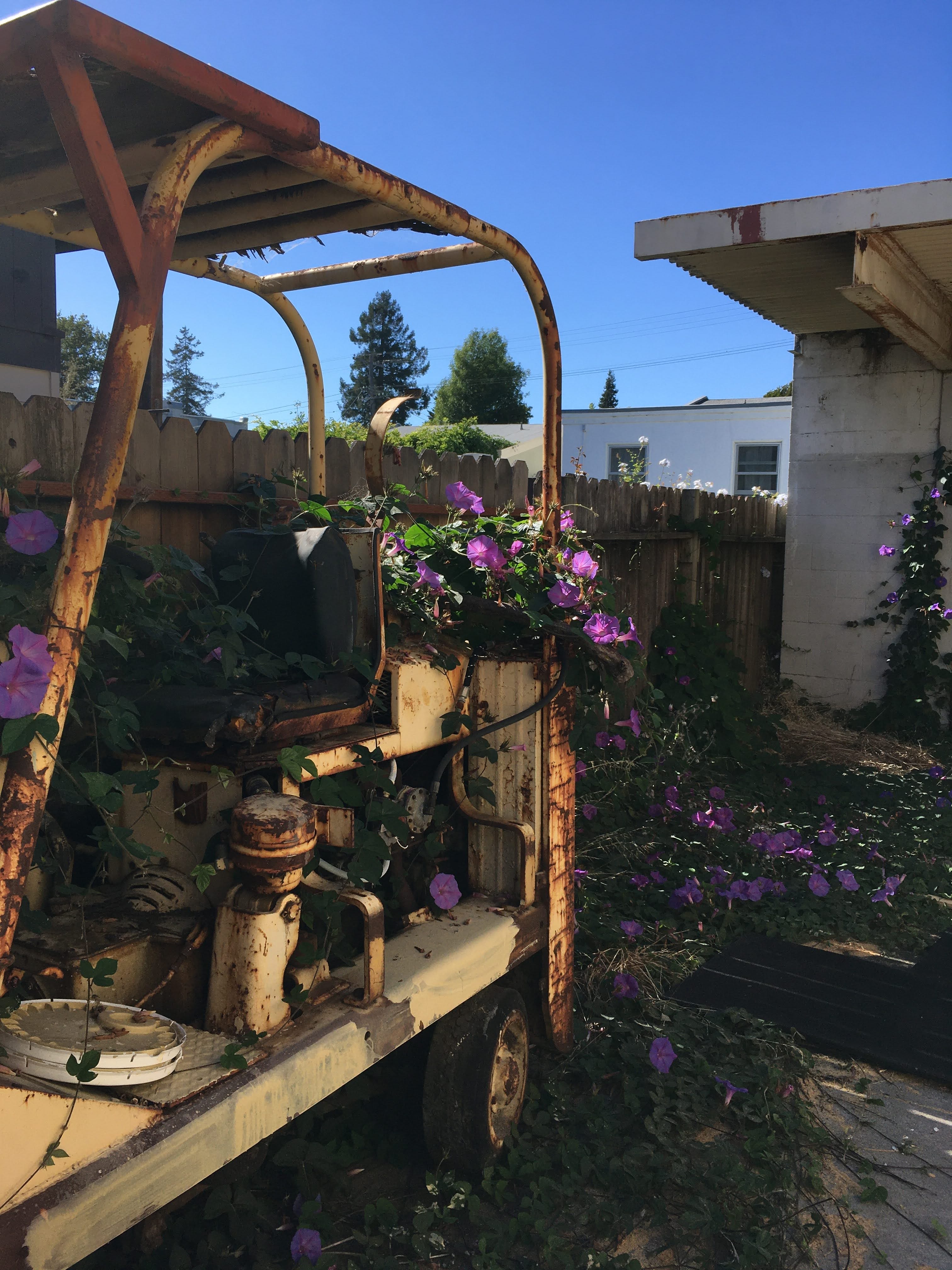 A sonnet, a sestina, a villanelle — LessWrong