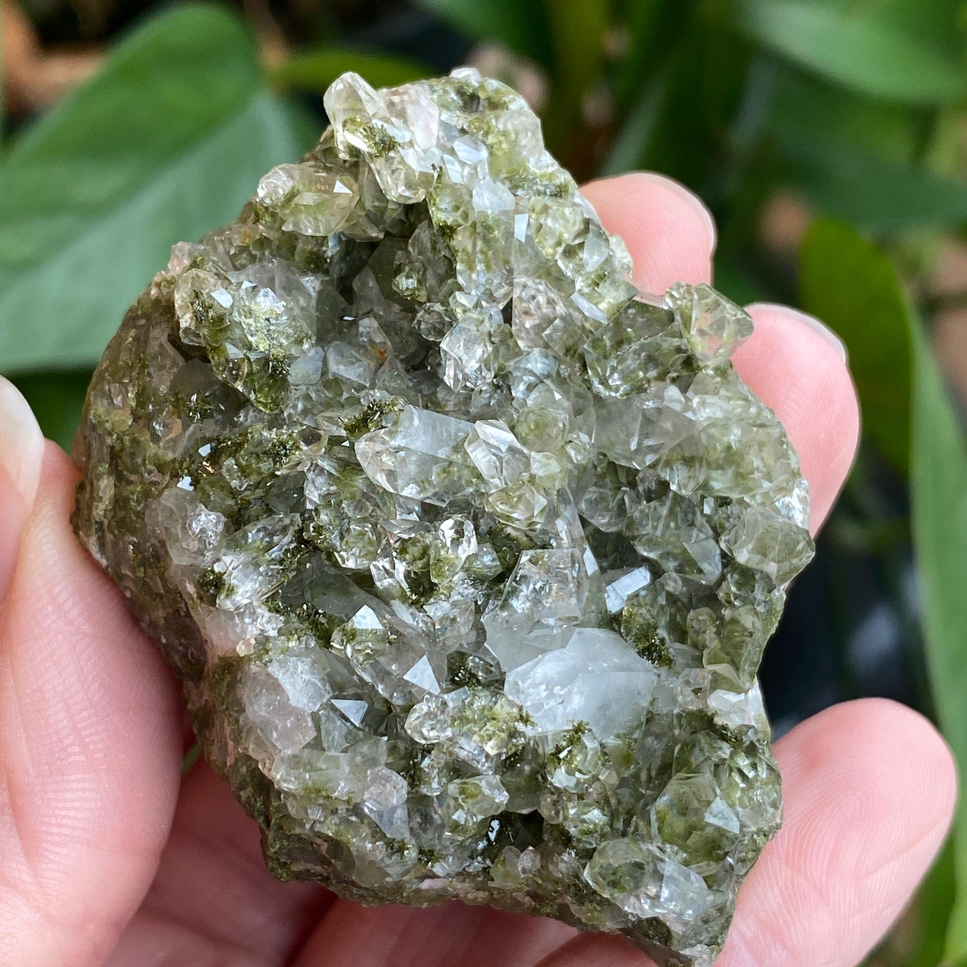 A Stone of Many Faces - Quartz in Alaska’s Wild Landscapes
