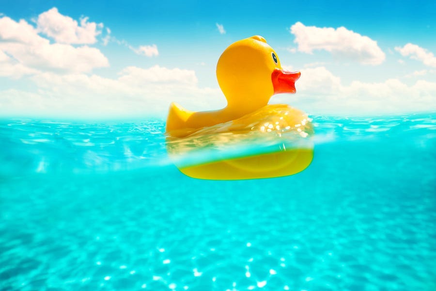 The Great Rubber Ducky Journey - by Daniel Ganninger