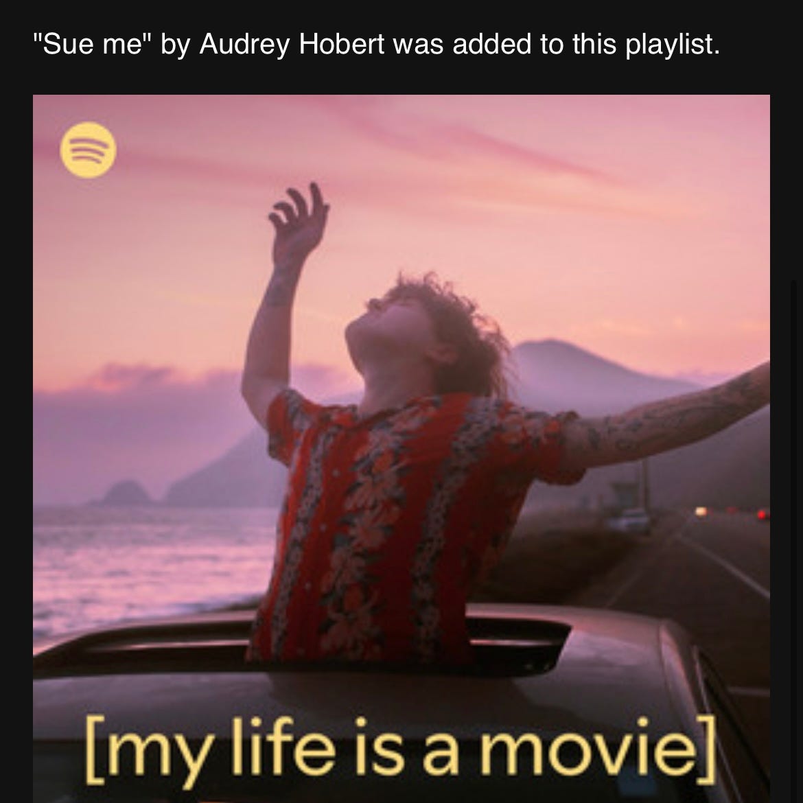 Last night I watched "The Idea of You" and I realized if something like ...
