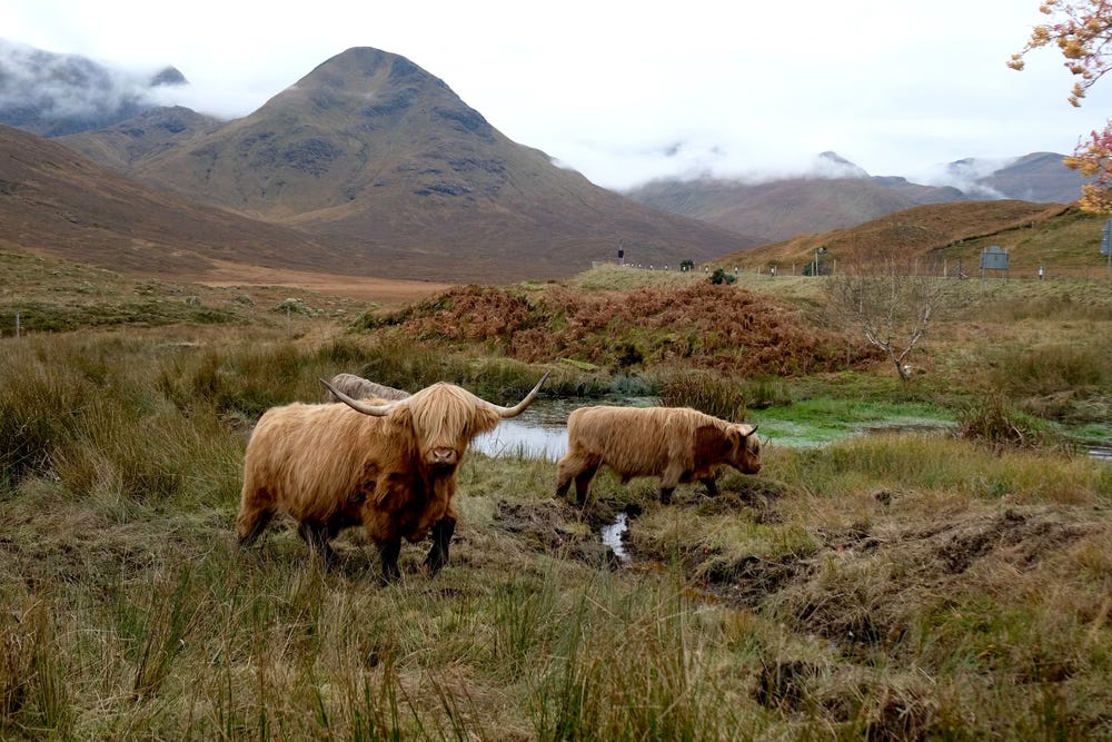 A Slow Travel Journey Through Scotland - by Narrative Nomad