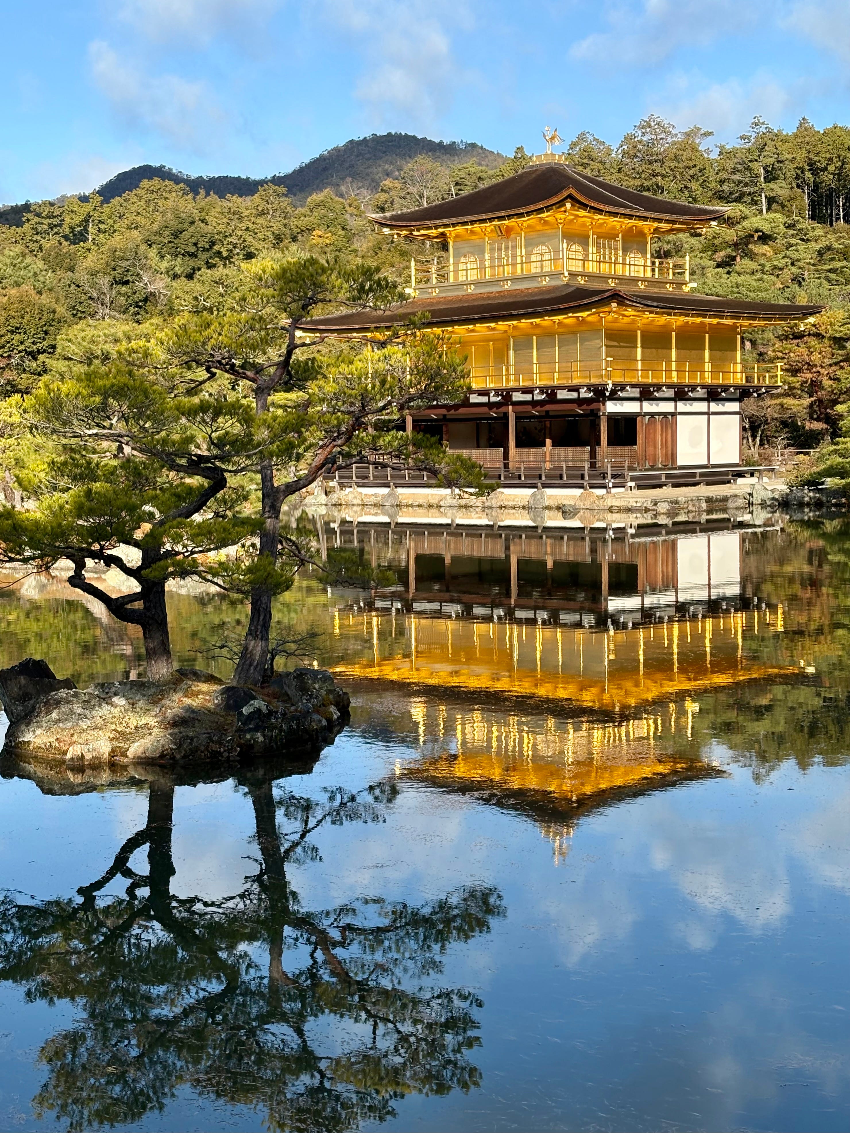 Meilleurs Vœux - A Week in Paris