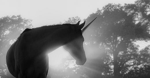 Coherent Reality | Jan Wellmann | Substack