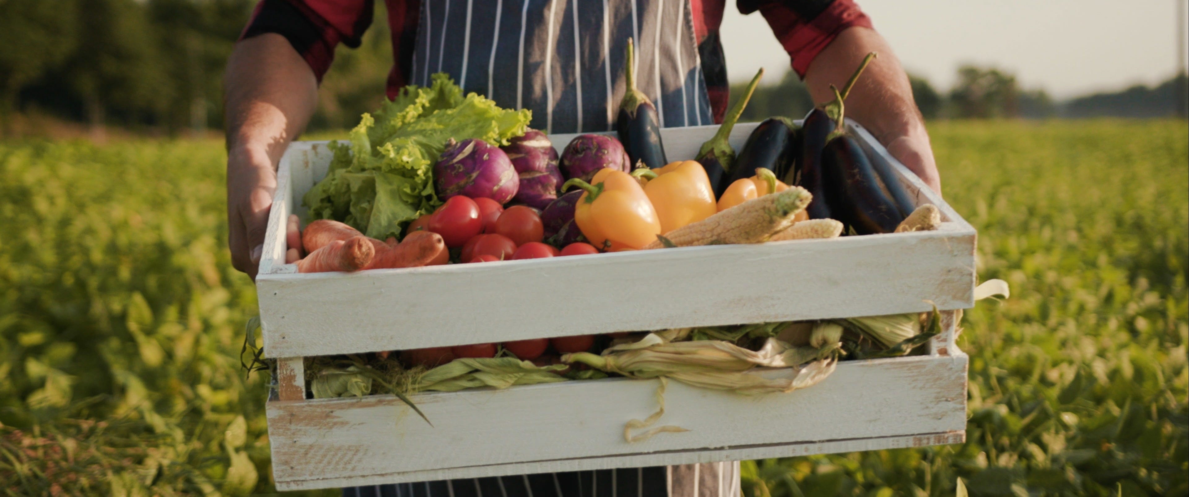 The Role Food Plays in Exceeding the Climate Change Planetary Boundary