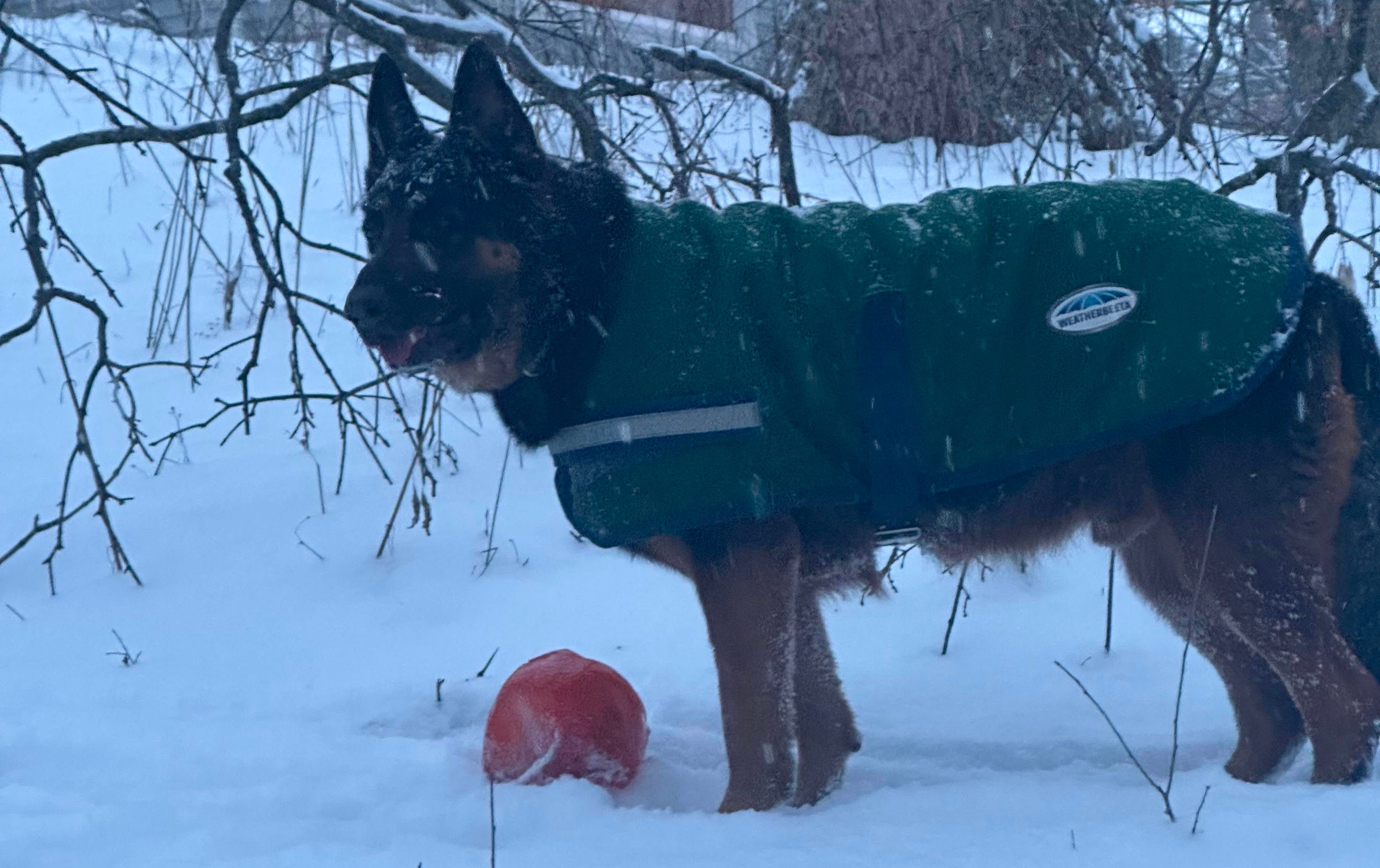 Trump Slouches Toward the War He Wants - by Charlie Sykes