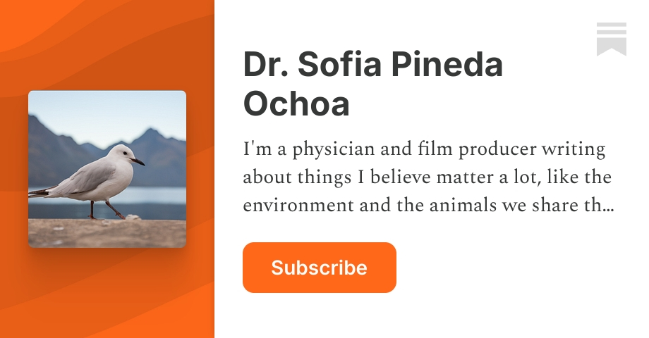 Dr. Sofia Pineda Ochoa | Substack