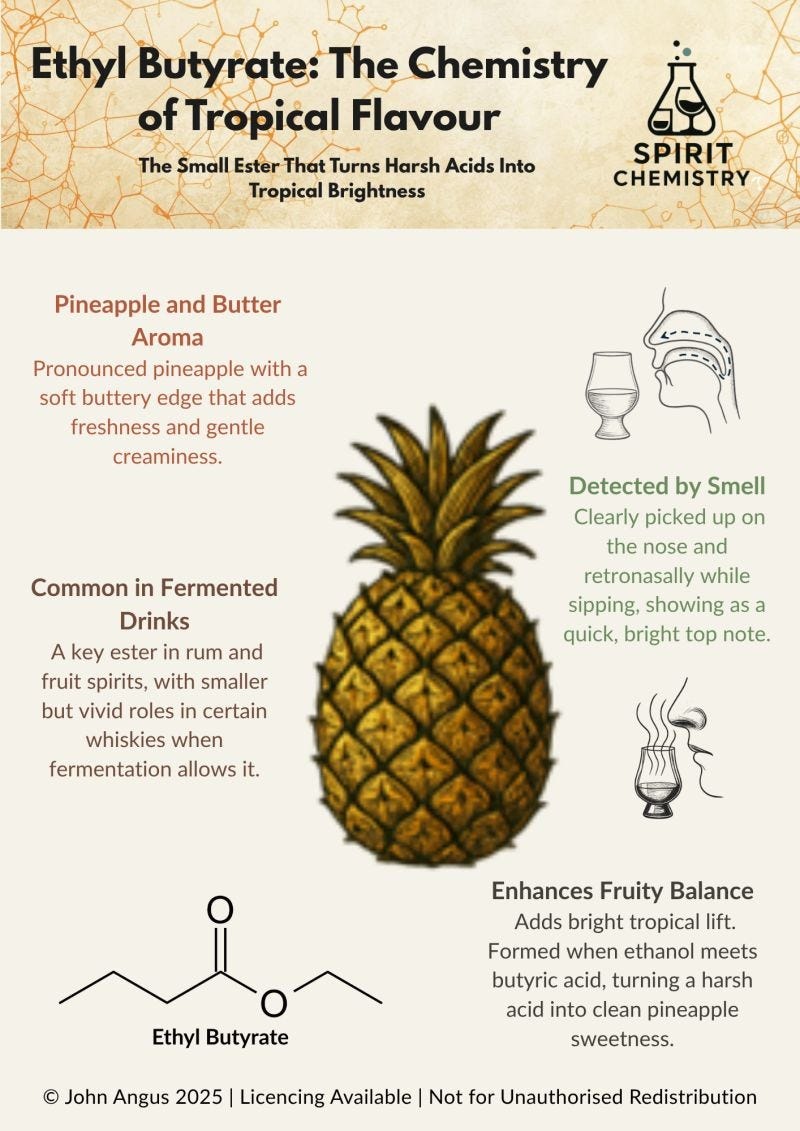 🧪 Ester Deep Dive - by John Angus