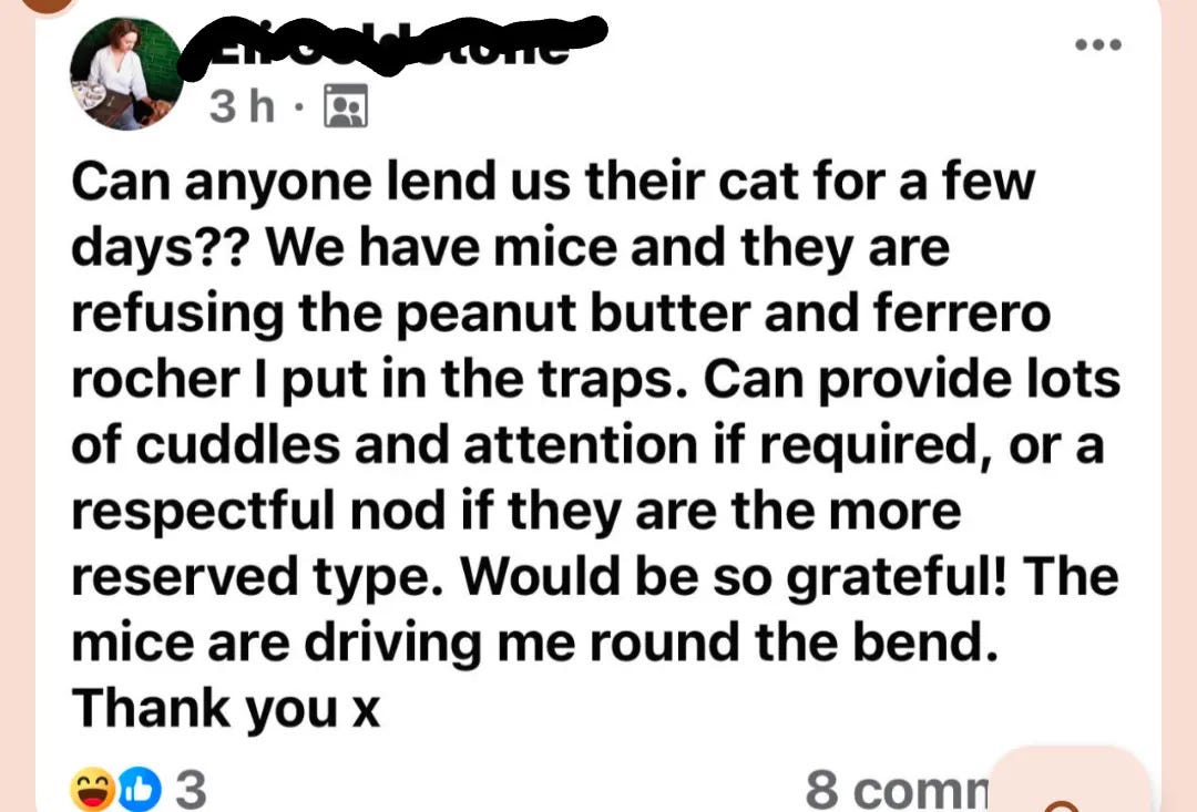 Happy New Year (Apparently It’s the 3rd of January Already)