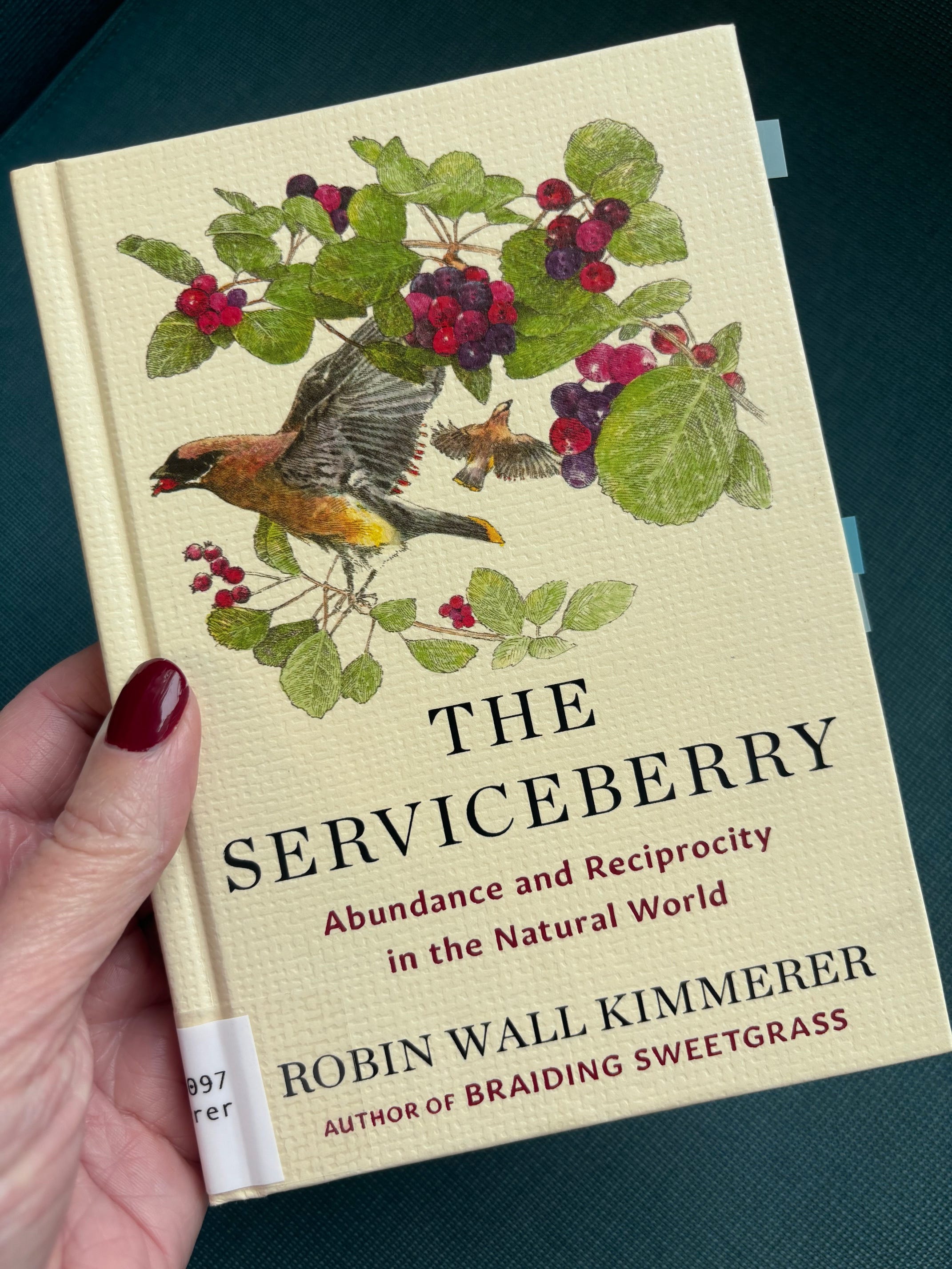 Reading + Reflection Guide: The Serviceberry
