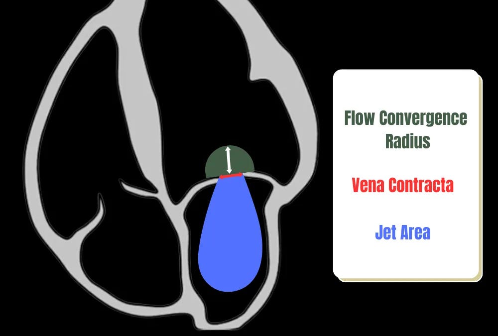 Go with the Flow: A Quick Dive into PISA - The Echo Journal