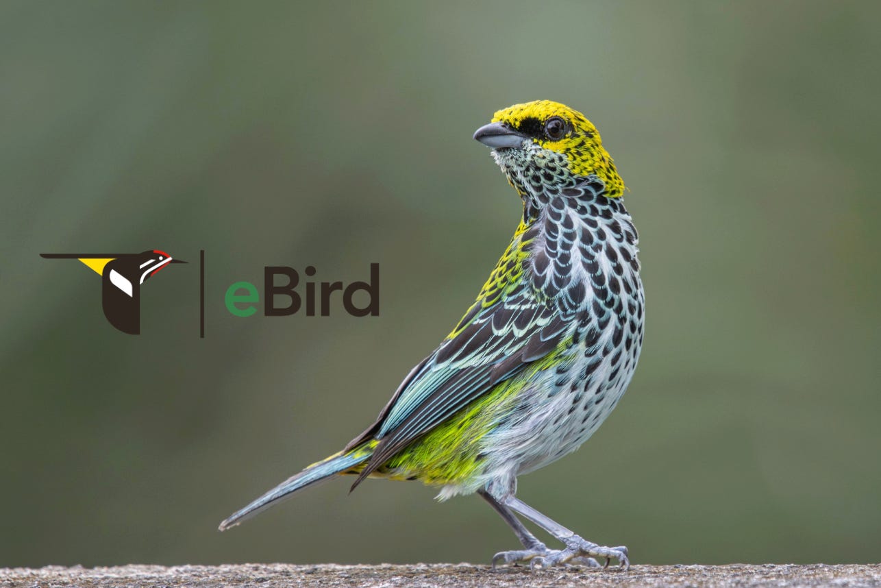 eBird 101 - Birding University