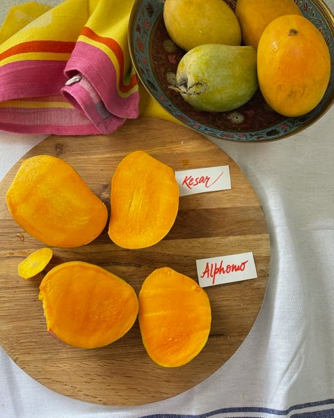 KP+: Mango panna cotta - by Nicola Lamb - Kitchen Projects