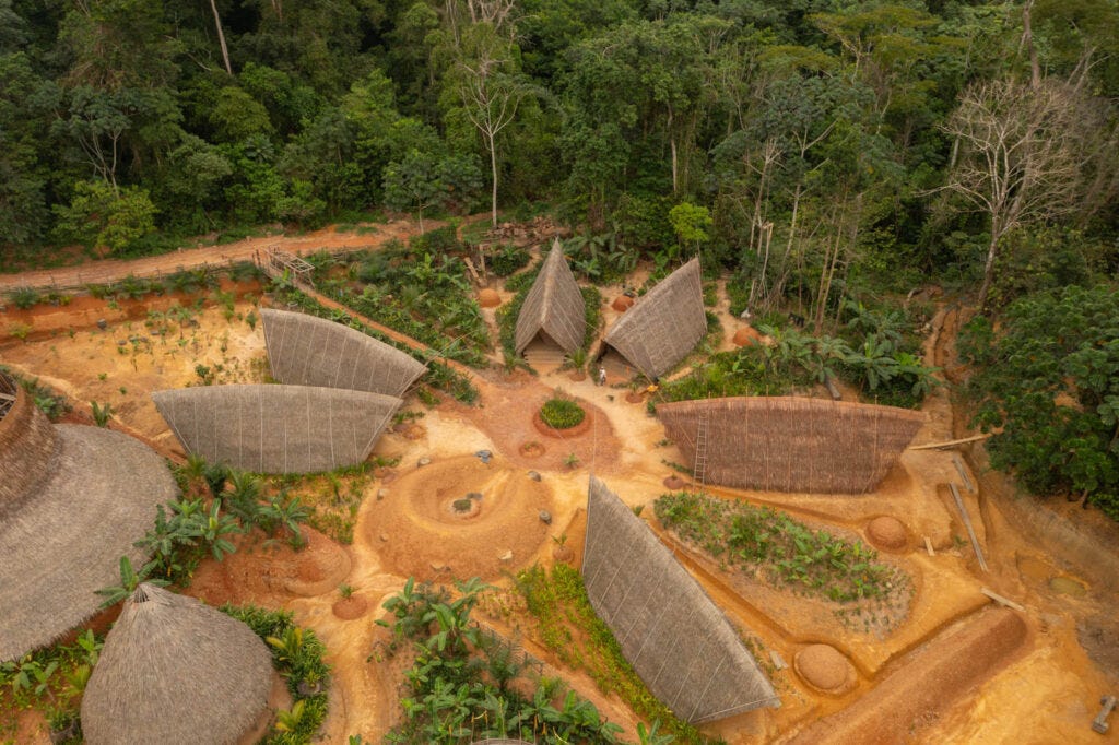 The Warka Tower and the Beauty of Biomimicry