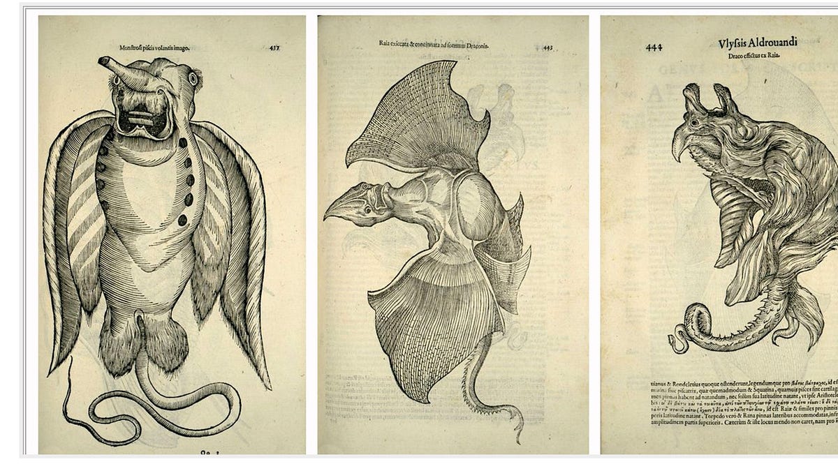 Jenny Haniver: The Bizarre Sea Creature Behind a Centuries-Old Maritime ...