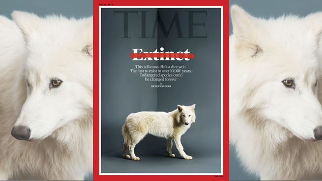 The Dire Wolf at the End of the World - by J.M. Robinson