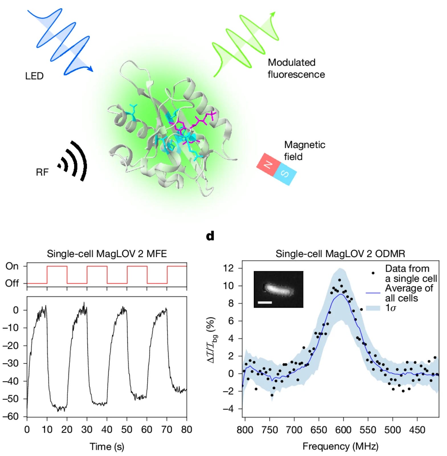 BioByte 145: STACK Tackles Perturbation Effects, Magnetic Resonance for ...