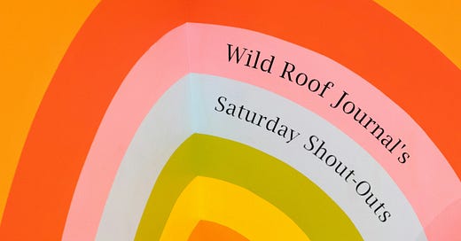 Wild Roof Journal’s Substack | Substack