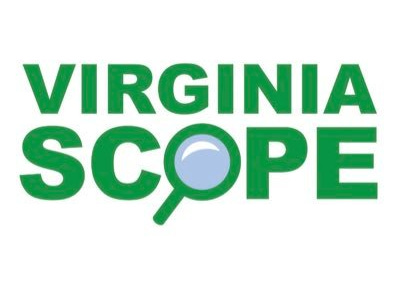 Virginia Political Newsletter | Brandon Jarvis | Substack