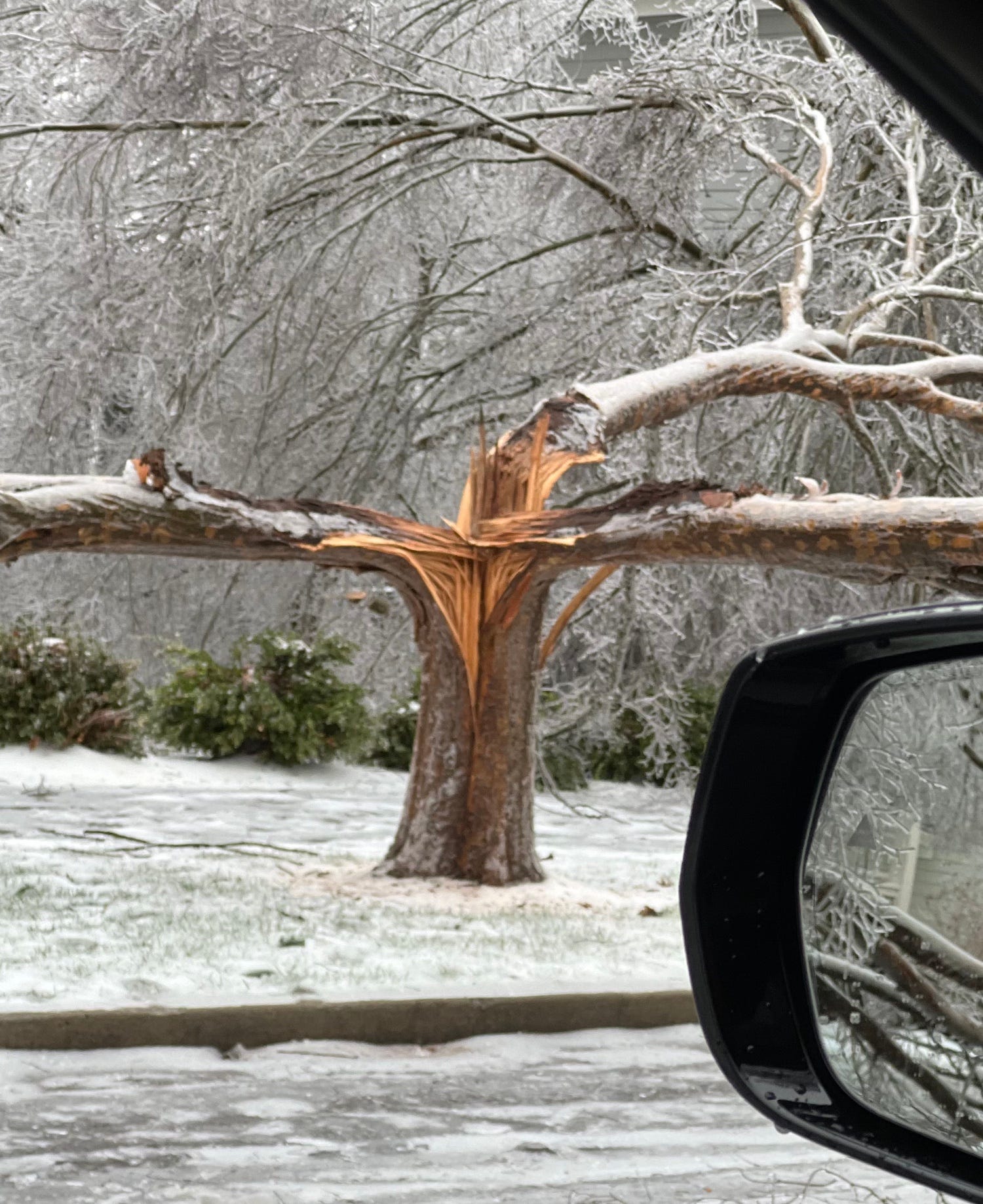 An Ice Storm and A Viral Video - by Kate Battistelli