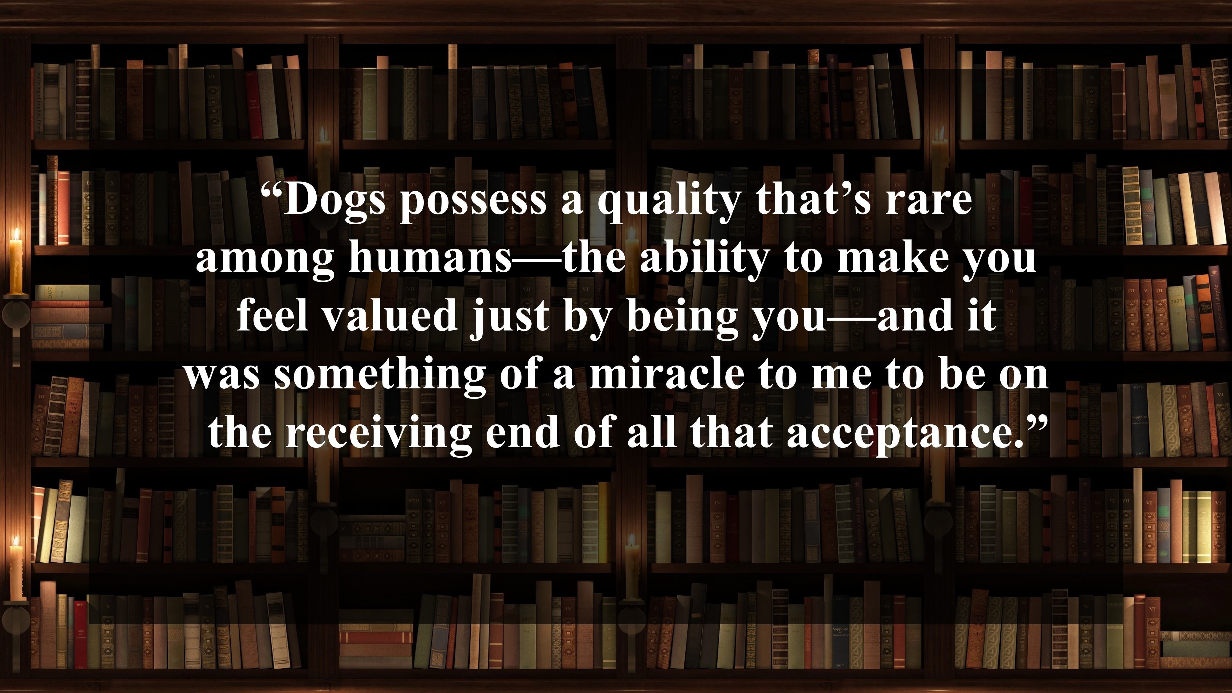 Dr. Mardy's Quotes of the Week ("Cat Lovers Versus Dog Lovers")