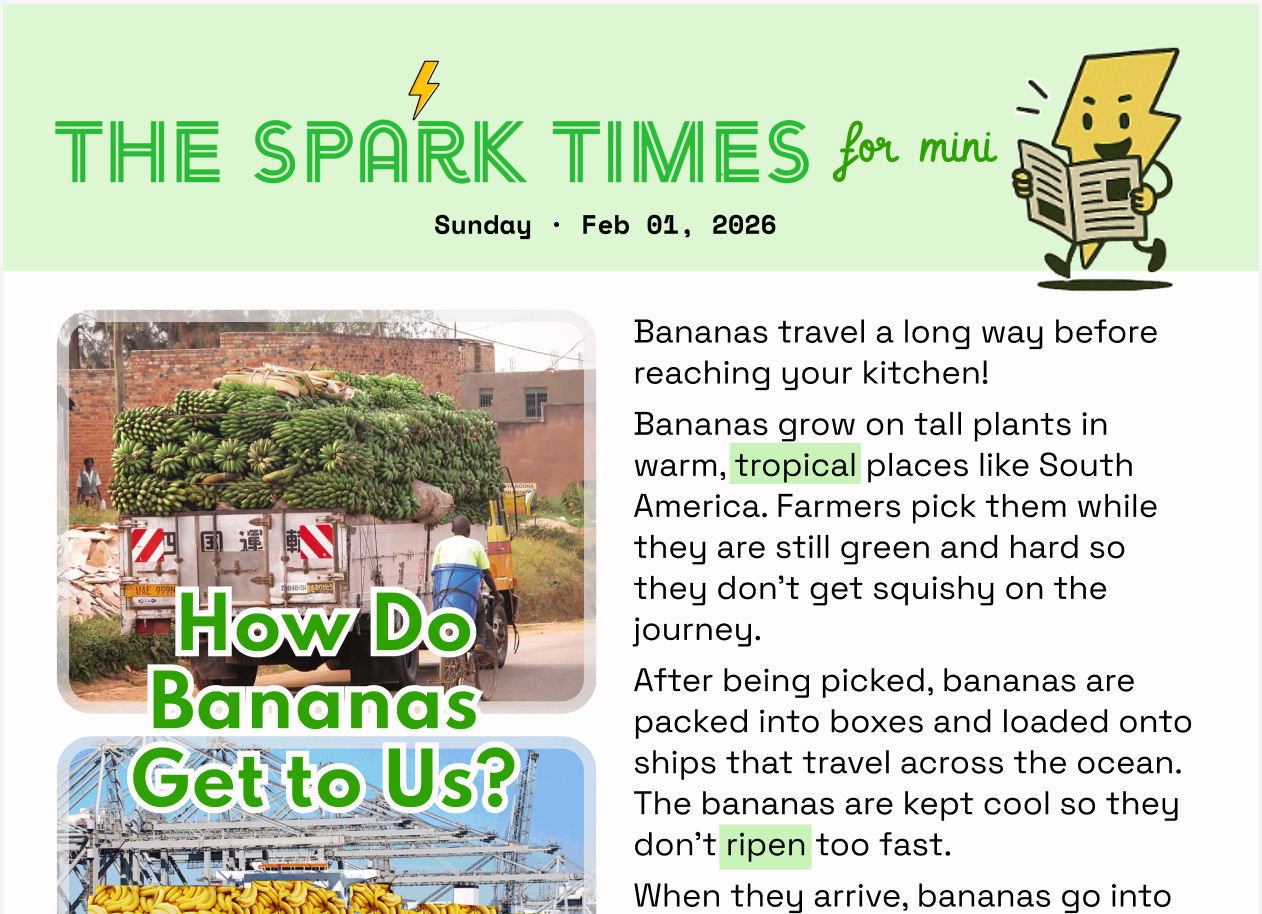 Spark Times Mini | How Do Bananas Get to Us?