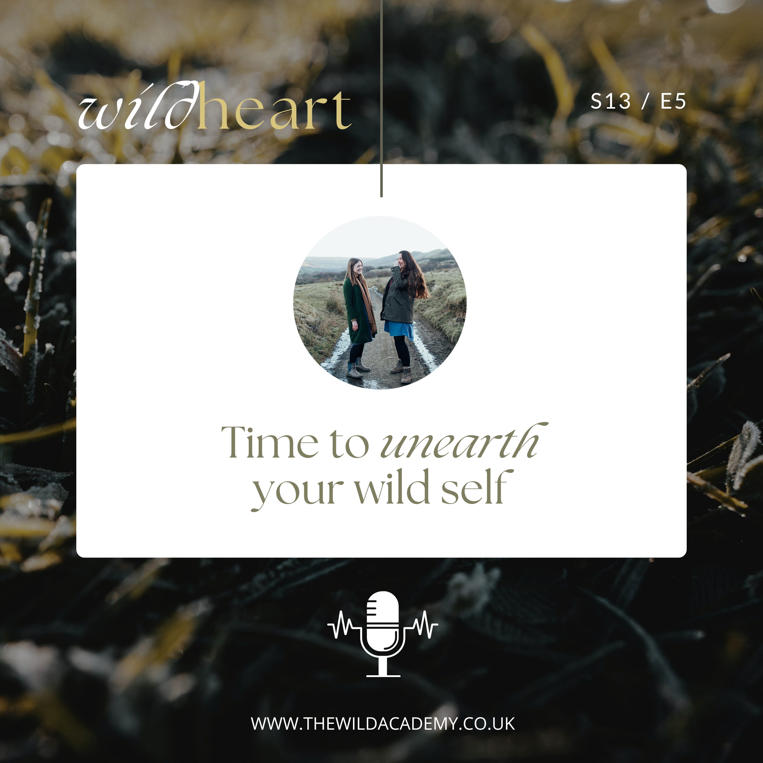 Unearth - by The Wild Academy - The Seed