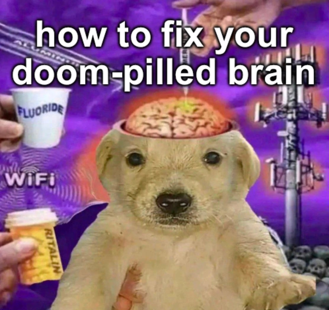 a gen z guide to fixing your doom-pilled brain