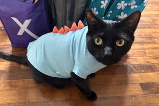 cc: helmet girl | sam bodrojan | Substack