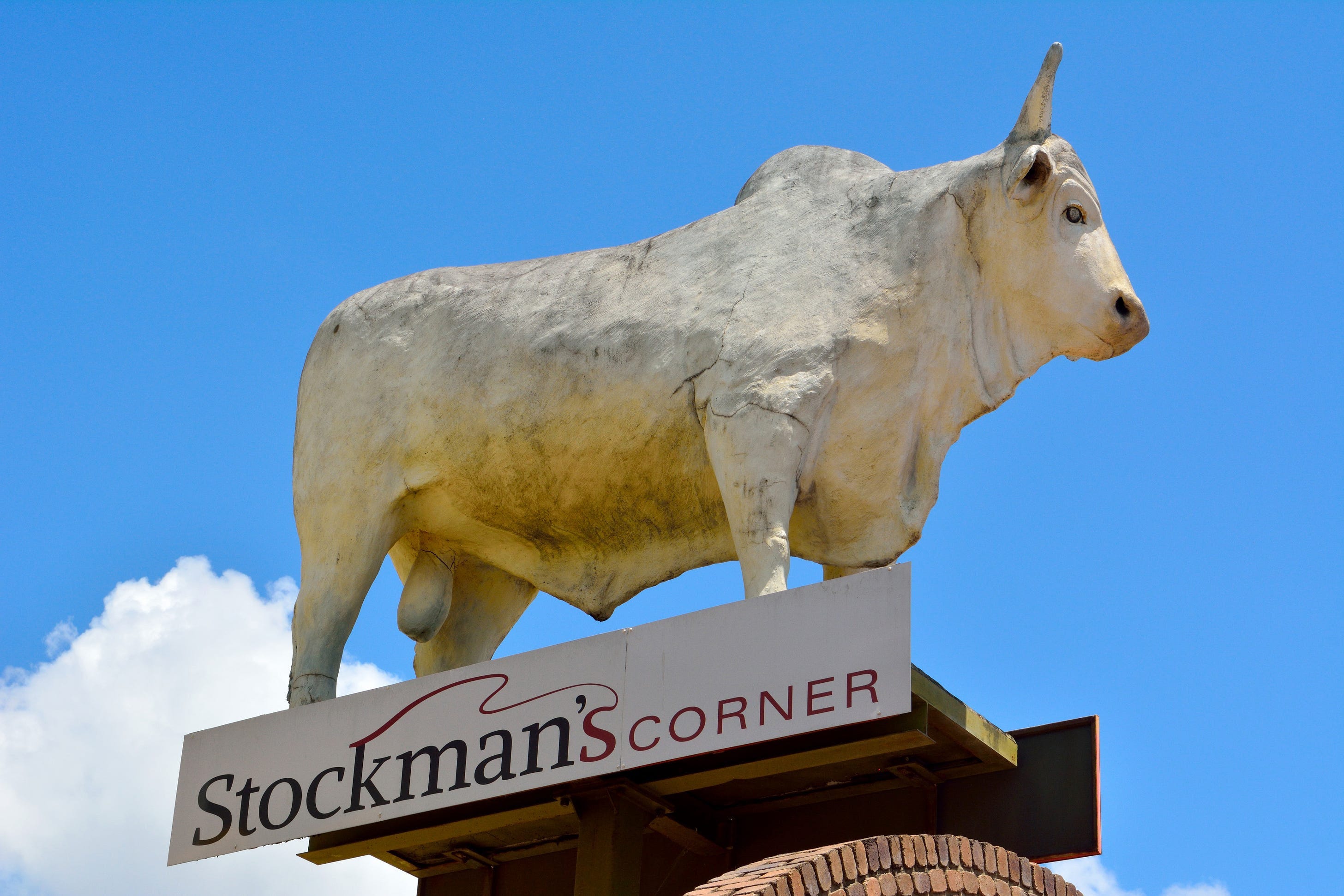 Shit Towns of Australia #241 - by Rick Furphy