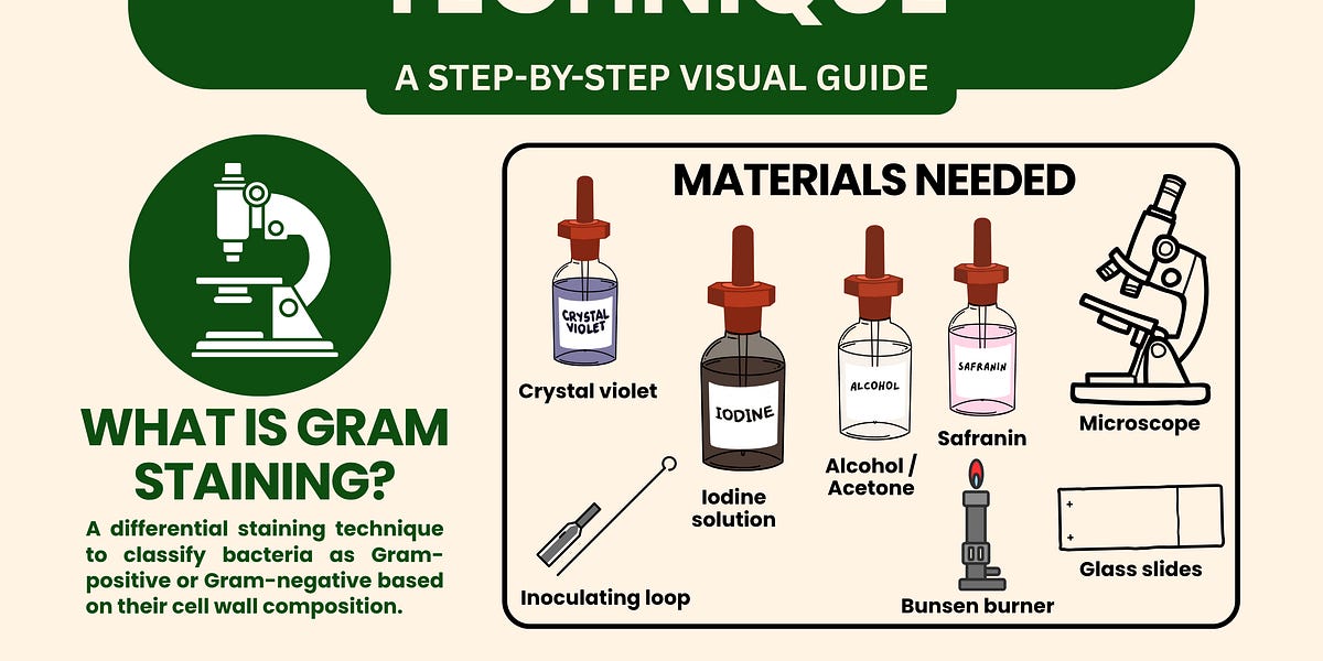 Gram’s Staining Infographic Poster - by Shekhar