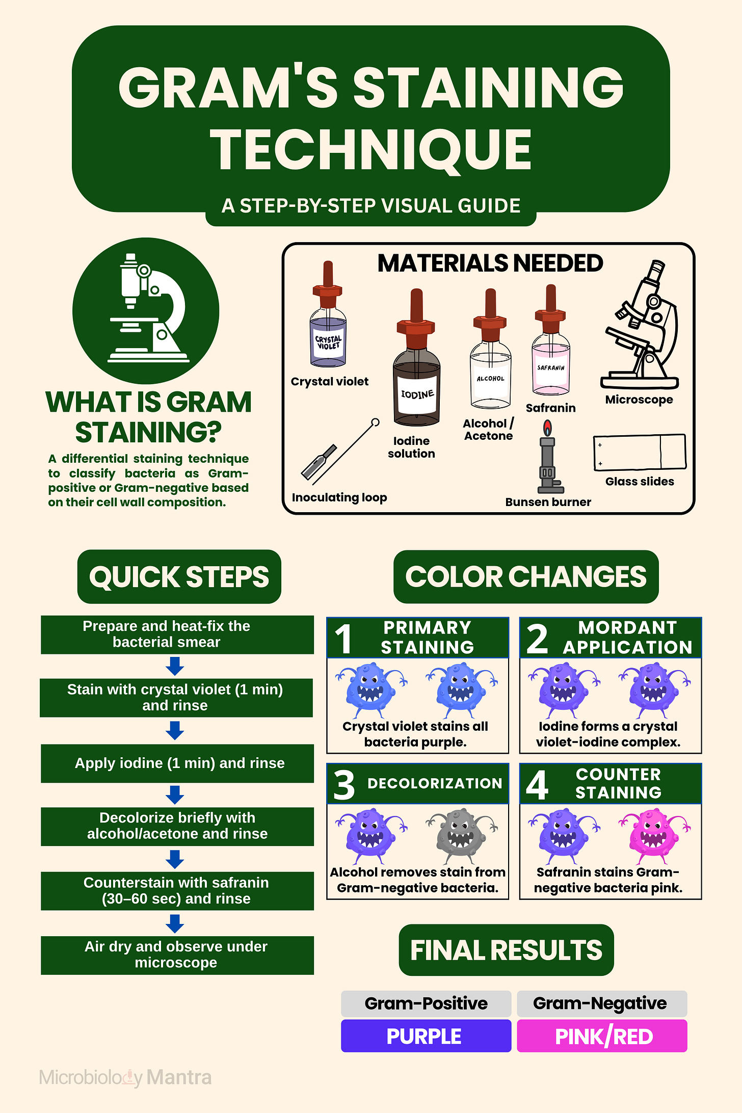 Gram’s Staining Infographic Poster - by Shekhar