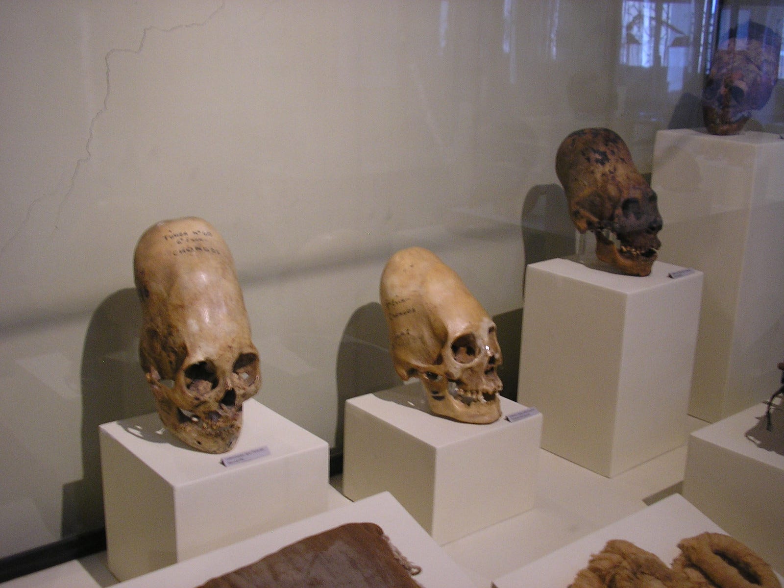 Ancient Origins UNLEASHED (@ancientoriginsunleashed): "In the 1920s ...