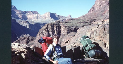 The Phrazer | Laura Fraser | Substack