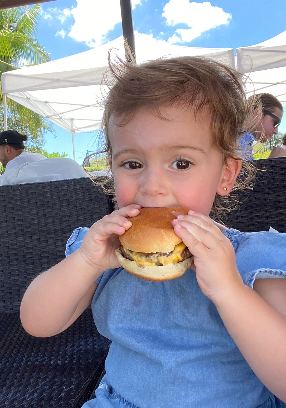 The Upside Down Food Pyramid: Parents Need to Know About New Nutrition ...