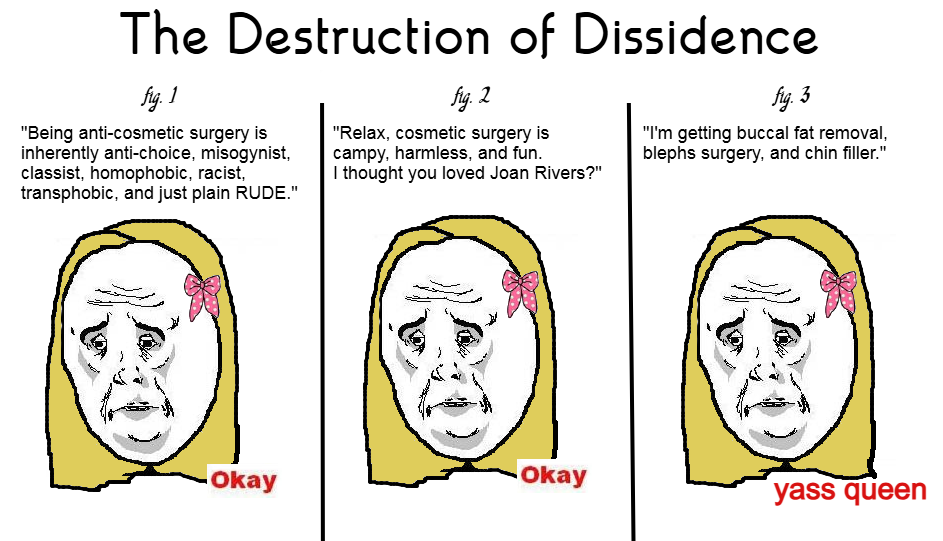 The Anti-Cosmetic Surgery Essay Every Woman Should Read