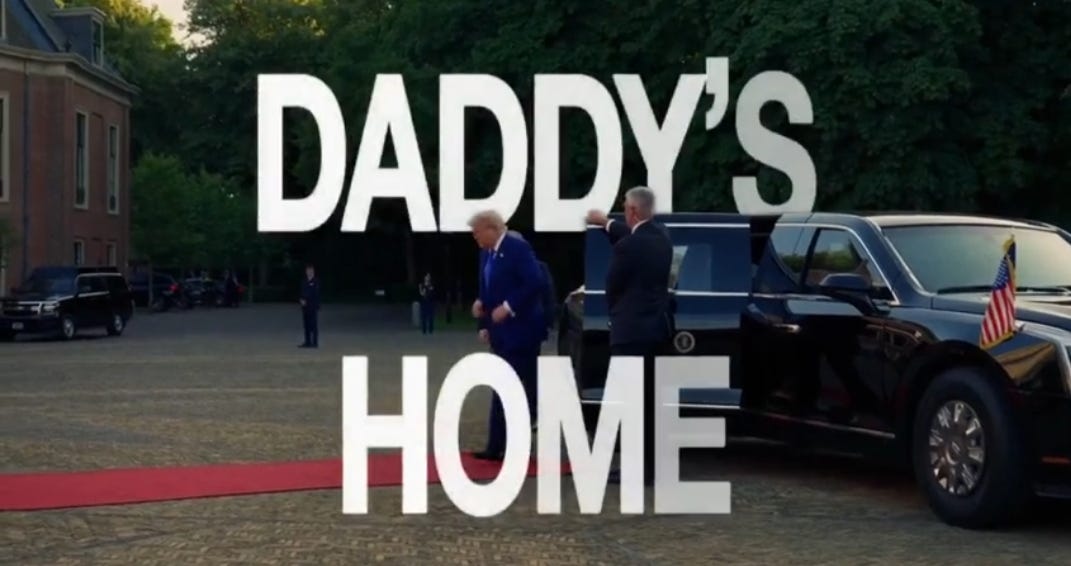 Trump's Daddy's Home video - by Bill Addis - Paid Protester