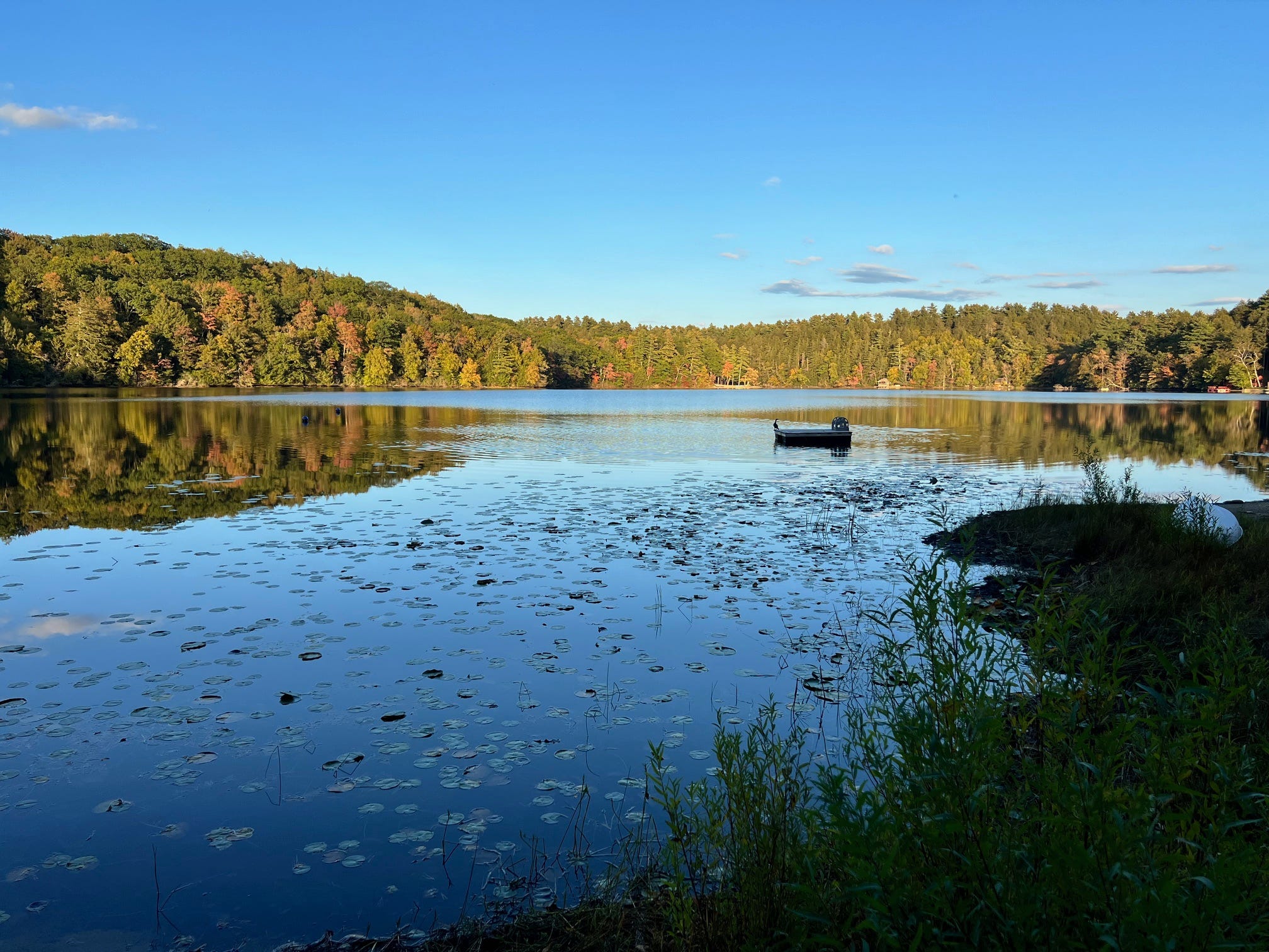 What Wet Socks and Muddy Paws Taught Me About the Sacred Space