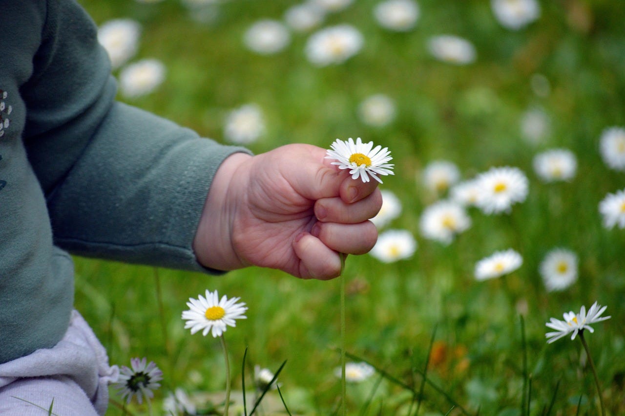 Why We Share, and Why We Pause - by Travis Nance