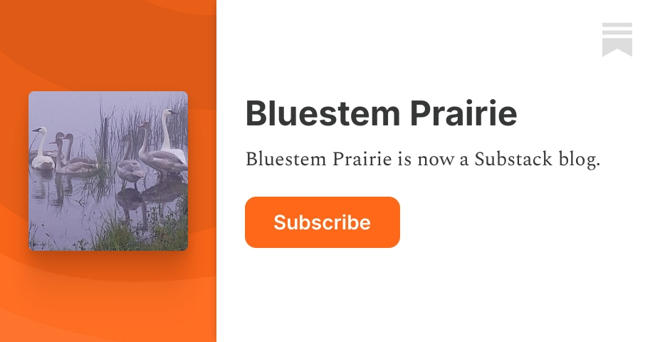 Digest: Wounded Knee, Orange Shirt Day, SDPB cuts