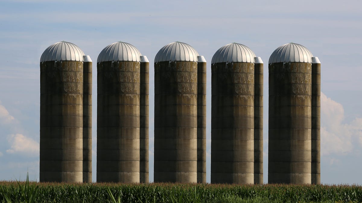 Bridging silos to improve safety - From AI to Zoonoses
