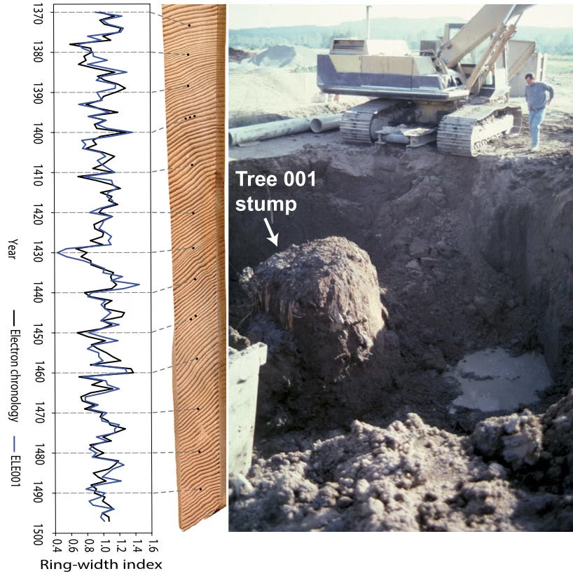 Dead Trees Tell No Lies: The Electron Mudflow