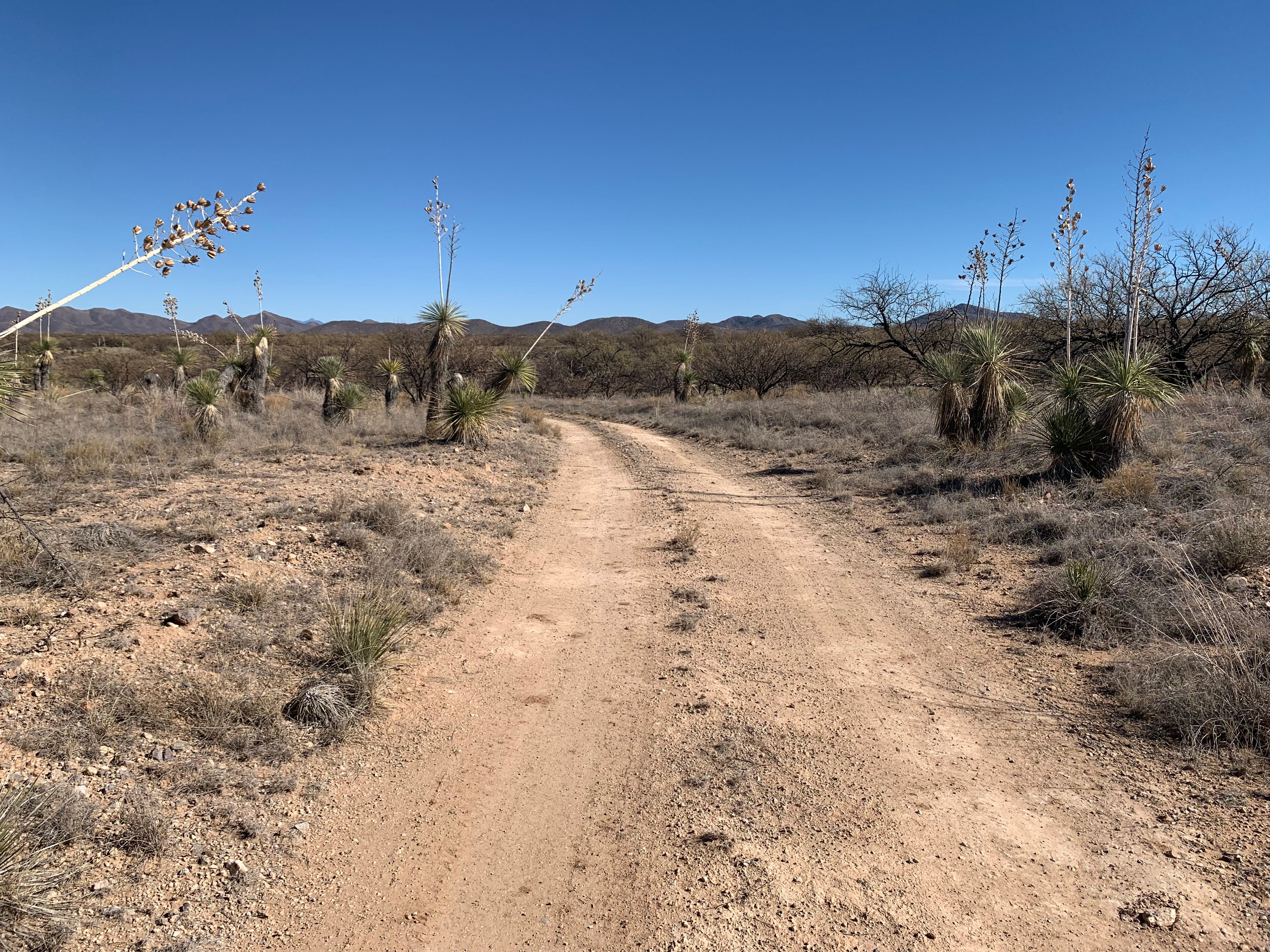 Road trip to the Mexican border gives perspective to immigration disputes