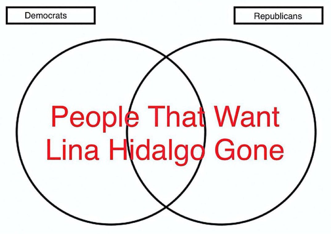 DEM Going to Lose - by Merissa Hansen - The Houston Comical