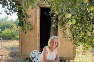 Calul Journal | Substack