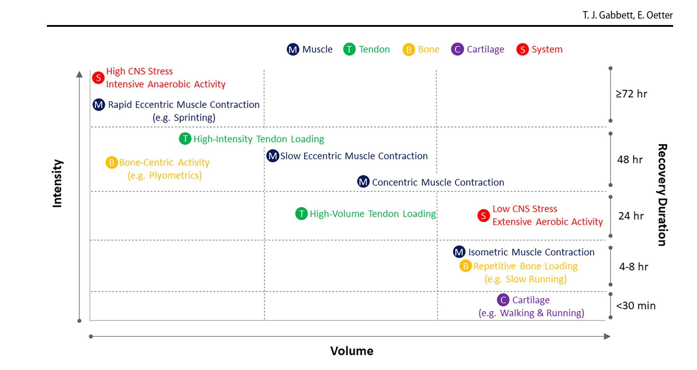 From Tissue to System: What We’re Getting Wrong About Load and Recovery