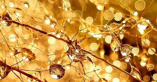 Media Lens | Substack